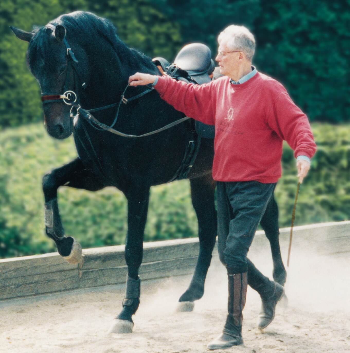 basic principles - Hand-saddle-hand-method